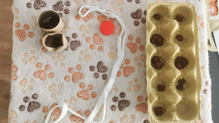 Fummelbrett für Katzen selber machen | Frag Mutti