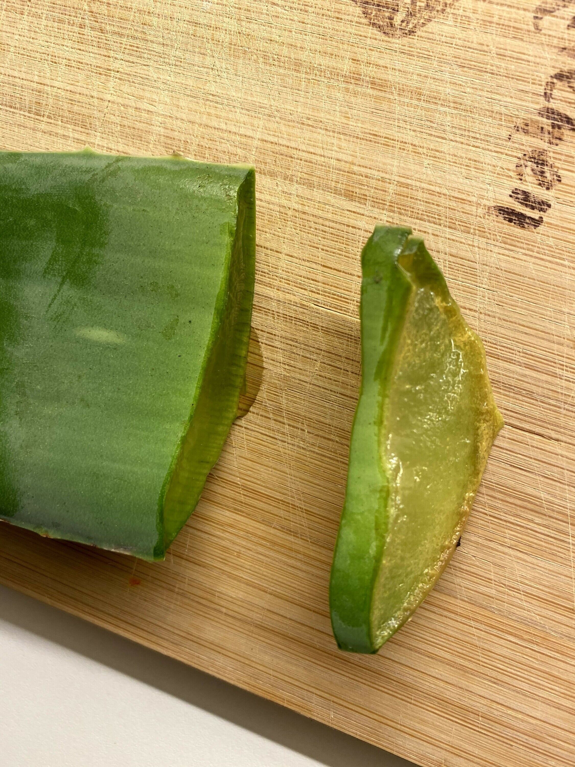 Aloe Vera-Gel selbst gewinnen Schritt für Schritt | Frag Mutti